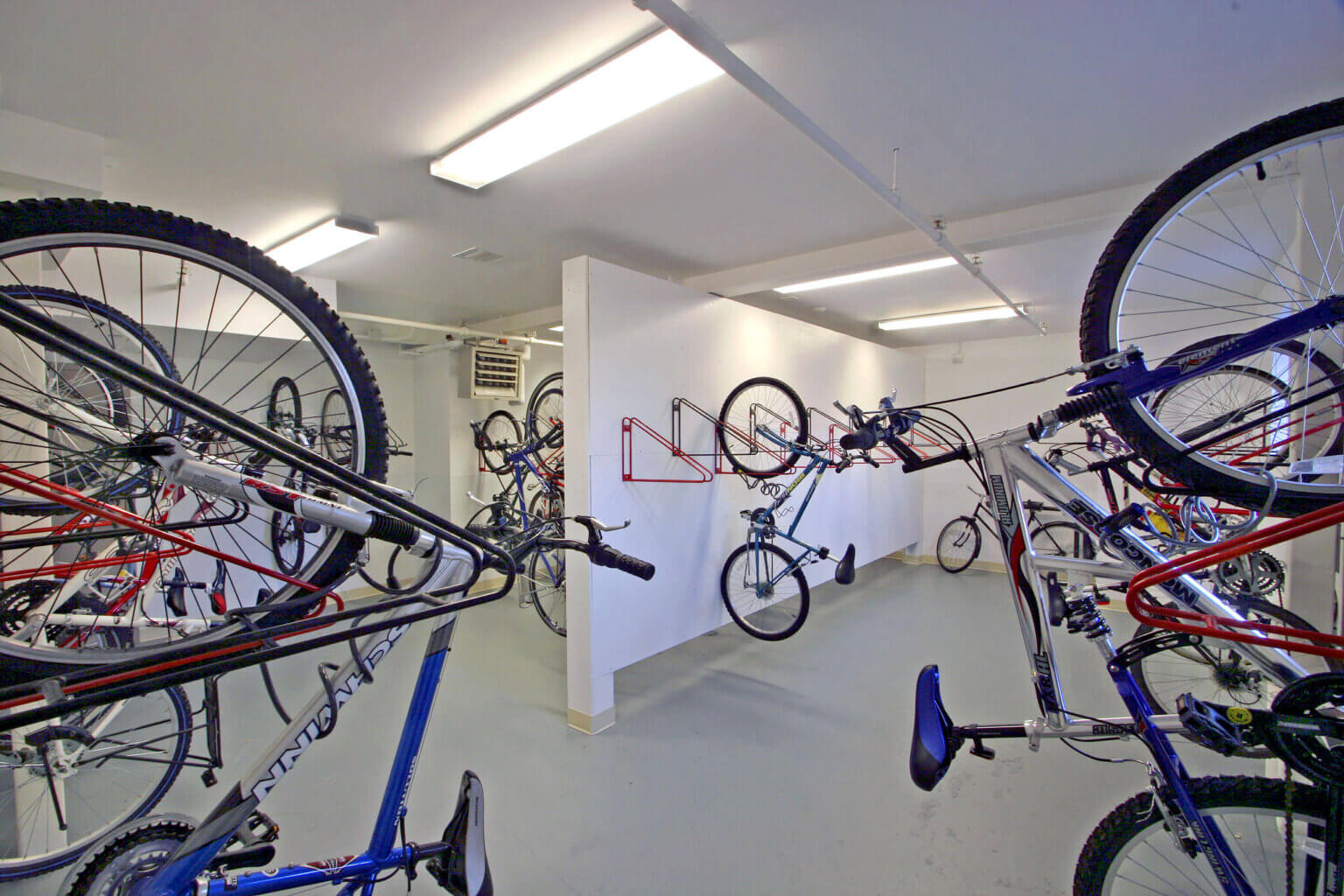 Bike Wall Rack - Vertical Bike Room Storage | CycleSafe